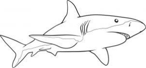 Como Desenhar um Tubarão (Muito Fácil) - Aprender a Desenhar