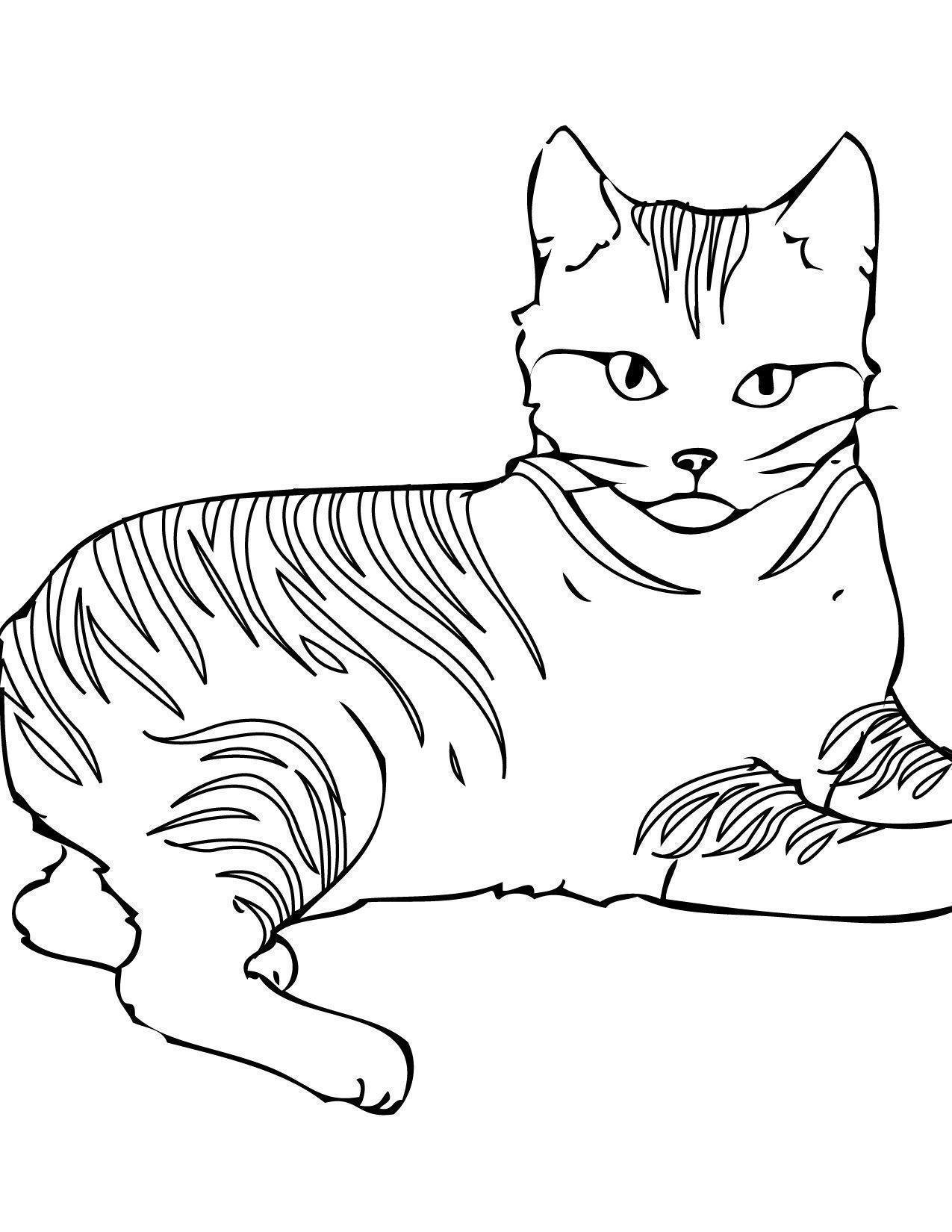 Gato Para Colorir E Imprimir Muito Fácil Colorir E Pintar
