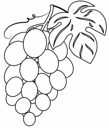 +80 Desenhos de Uva para Colorir e Imprimir