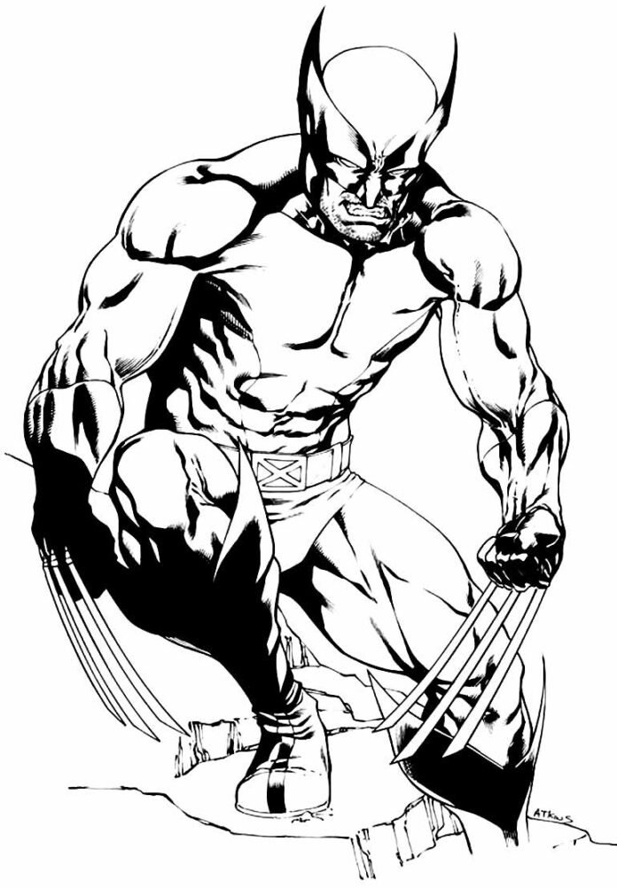 Desenhos do Wolverine para Colorir e Imprimir