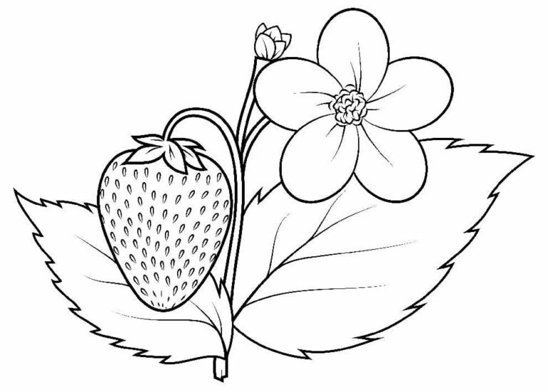 Desenhos de Morango para Colorir e Imprimir