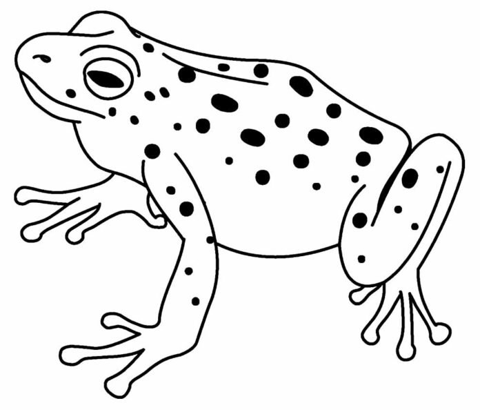 Desenhos de Sapo para Colorir e Imprimir