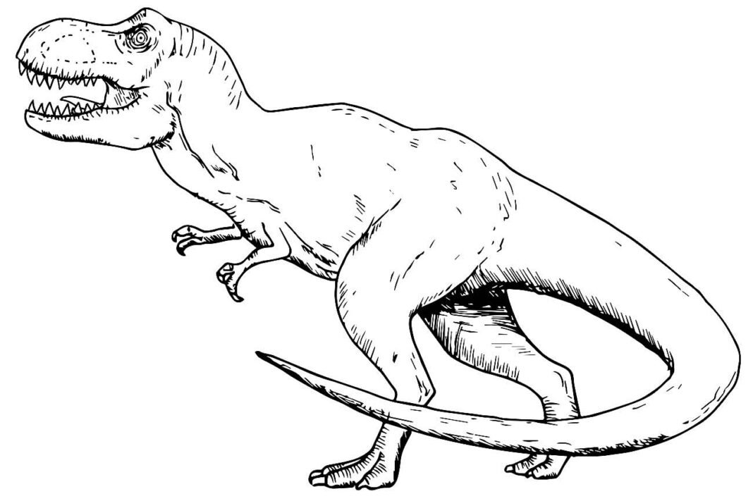 +150 Desenhos de T-Rex para Colorir e Imprimir