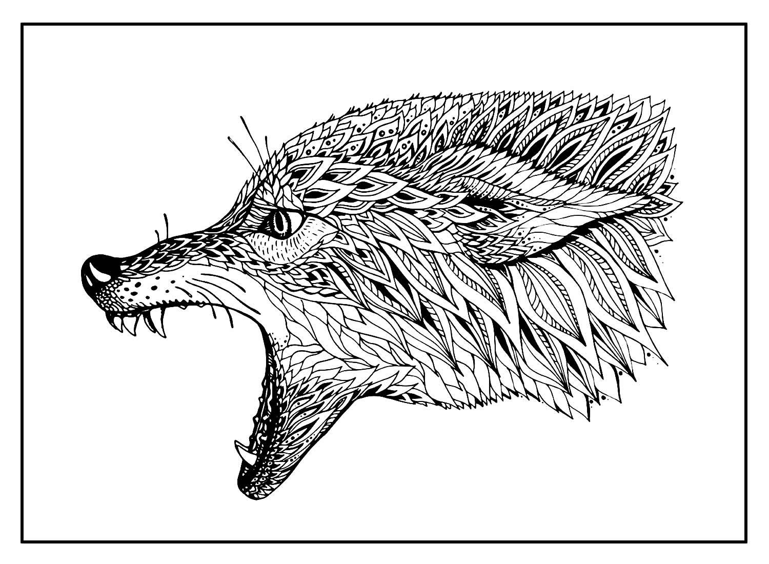 +100 Desenhos de Lobo para Colorir e Imprimir