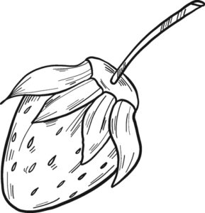 Desenhos de Morango para Colorir e Imprimir
