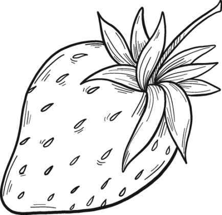 Desenhos de Morango para Colorir e Imprimir