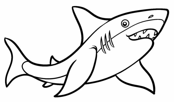 Desenhos de Tubarão para Colorir e Imprimir