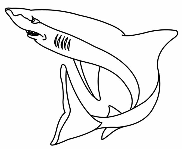 Desenhos de Tubarão para Colorir e Imprimir