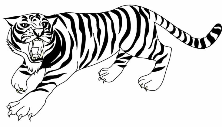 Desenhos de Tigre para Colorir e Imprimir - Aprender a Desenhar