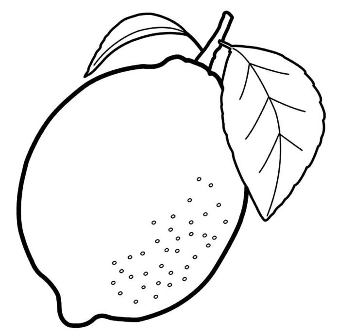 Desenhos de Limão para Colorir e Imprimir - Aprender a Desenhar