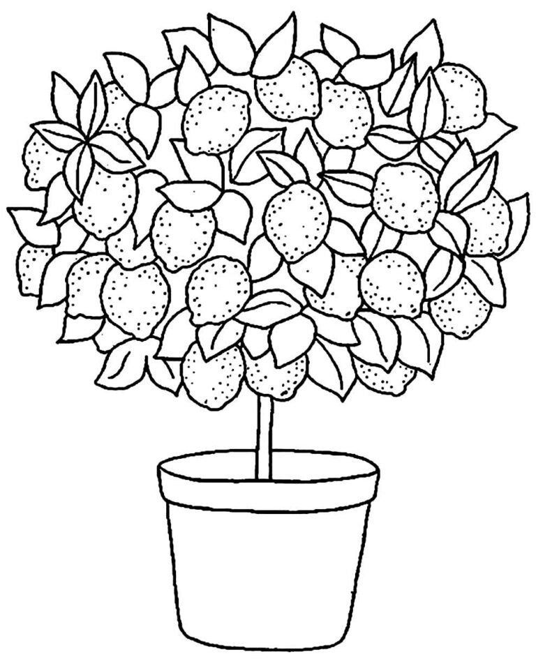 Desenhos de Limão para Colorir e Imprimir - Aprender a Desenhar
