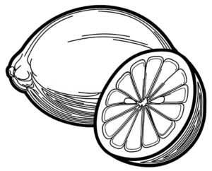 Desenhos de Limão para Colorir e Imprimir - Aprender a Desenhar