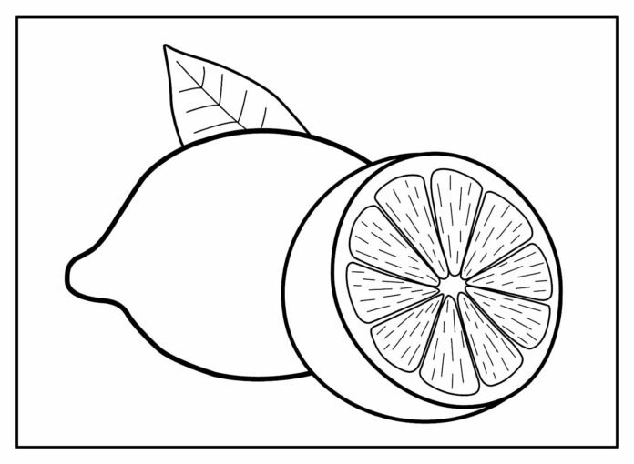 Desenhos de Limão para Colorir e Imprimir - Aprender a Desenhar