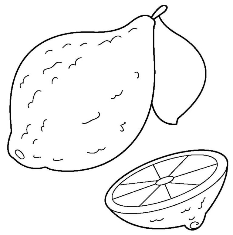 Desenhos de Limão para Colorir e Imprimir - Aprender a Desenhar