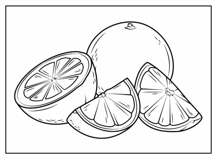 Desenhos de Limão para Colorir e Imprimir - Aprender a Desenhar
