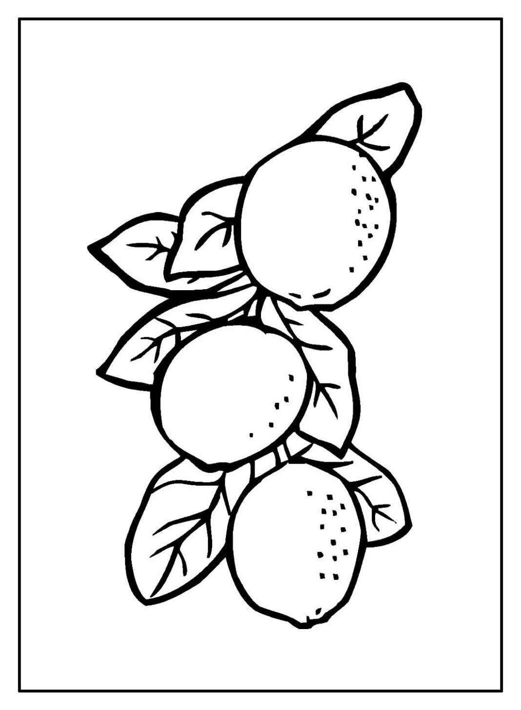 Desenhos de Limão para Colorir e Imprimir - Aprender a Desenhar