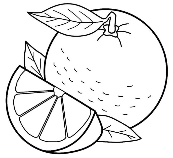 Desenhos de Limão para Colorir e Imprimir - Aprender a Desenhar