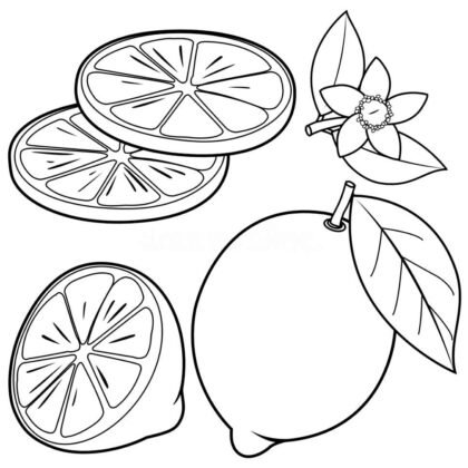 Desenhos de Limão para Colorir e Imprimir - Aprender a Desenhar