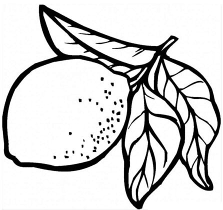 Desenhos de Limão para Colorir e Imprimir - Aprender a Desenhar