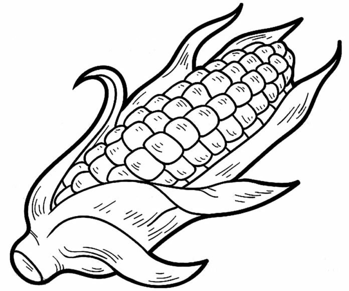 Desenhos de Milho para Colorir e Imprimir - Aprender a Desenhar
