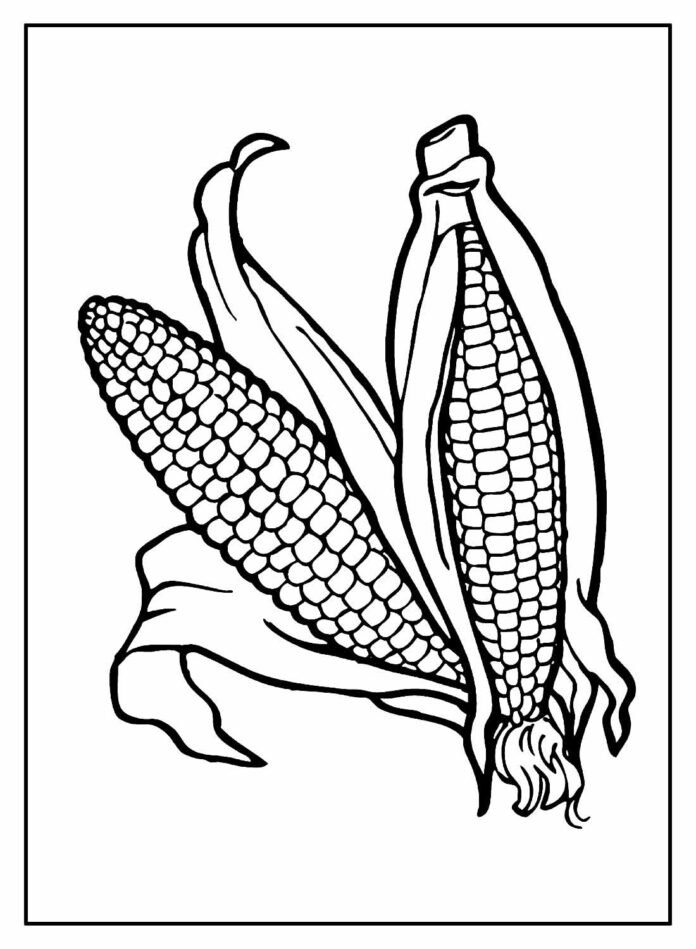 Desenhos de Milho para Colorir e Imprimir - Aprender a Desenhar