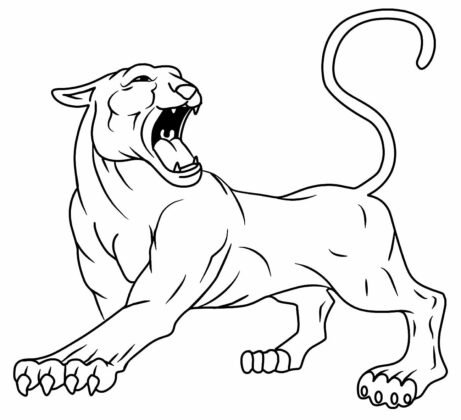 Desenhos de Pantera para Colorir e Imprimir - Aprender a Desenhar