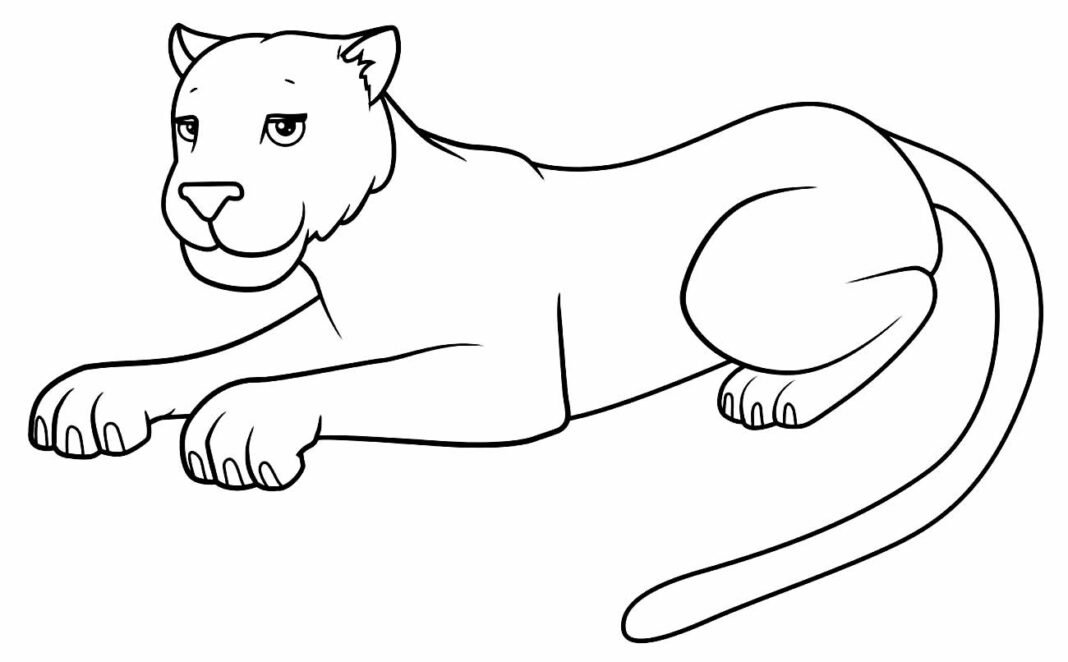 Desenhos de Pantera para Colorir e Imprimir - Aprender a Desenhar