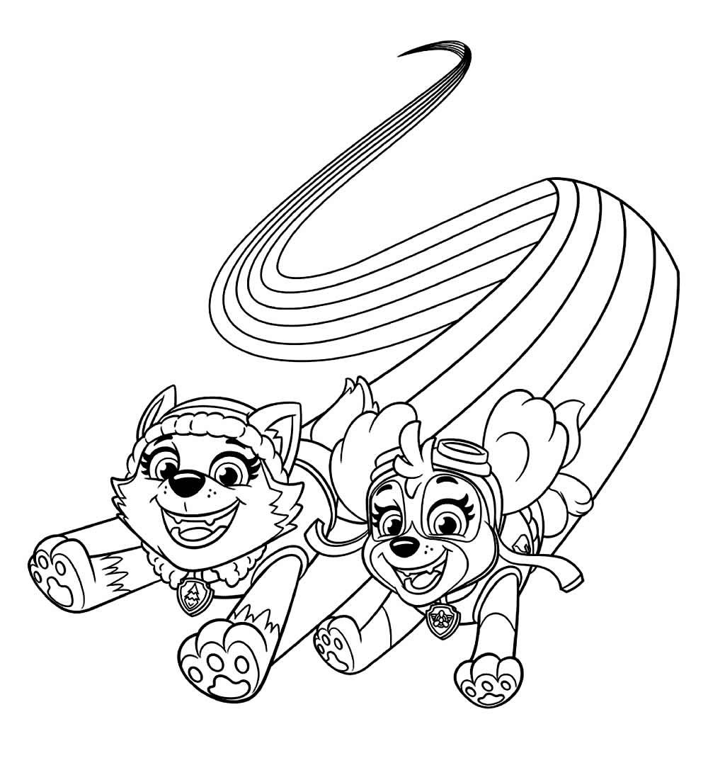 Desenhos da Skye para Colorir e Imprimir - Aprender a Desenhar